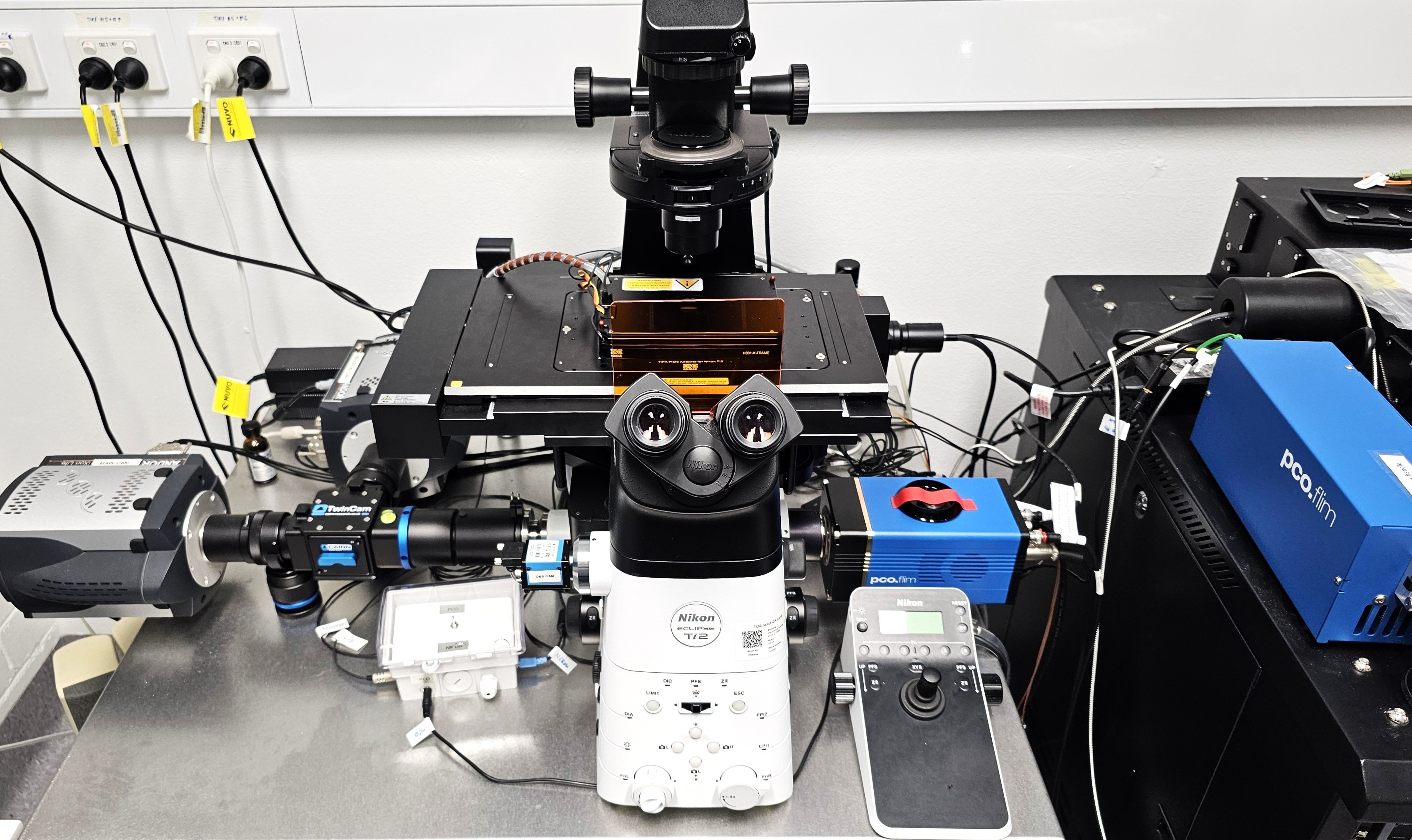 Hinde Lab - Cellular Biophysics